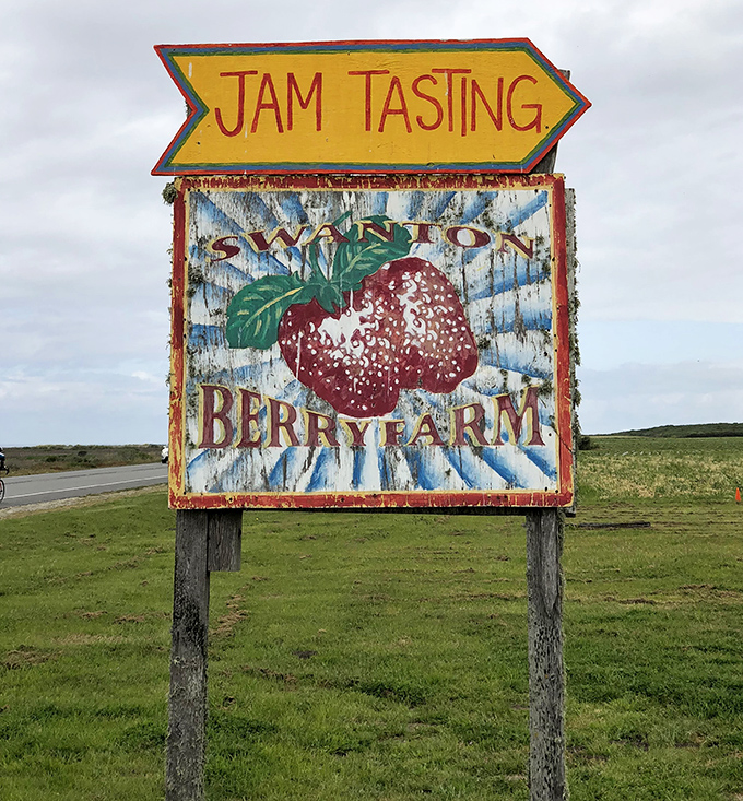 "JAM TASTING" points the way to flavor nirvana. This weathered sign has guided countless travelers to their new favorite breakfast spread.