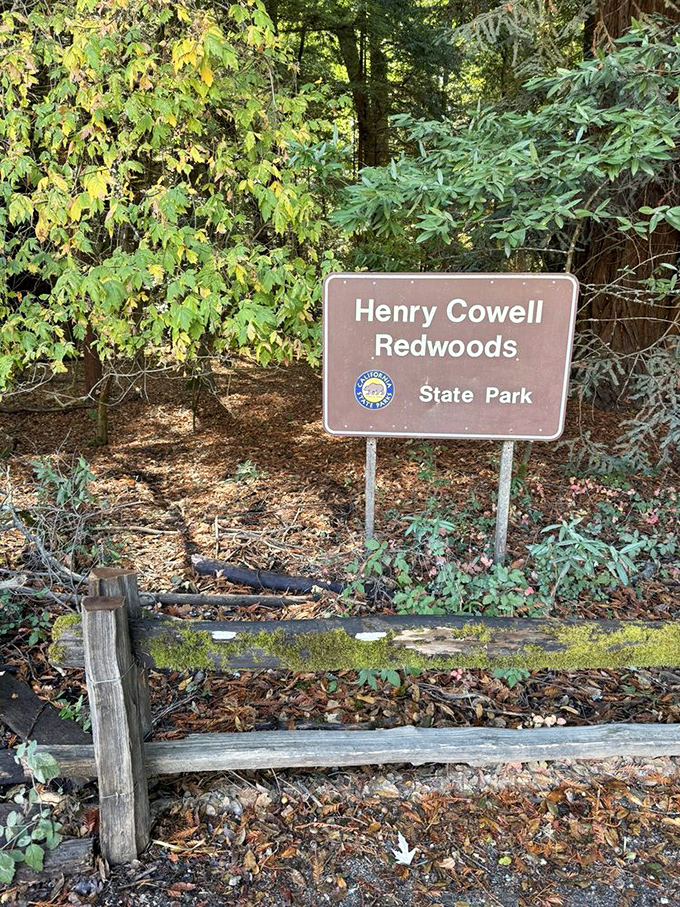 The unassuming entrance to wonderland. This modest sign marks the threshold between ordinary life and extraordinary experience.