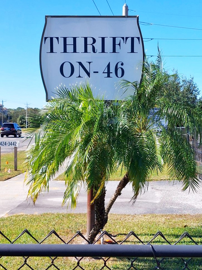 Palm trees frame the roadside sign, a Florida-perfect landmark guiding bargain hunters to their happy place.