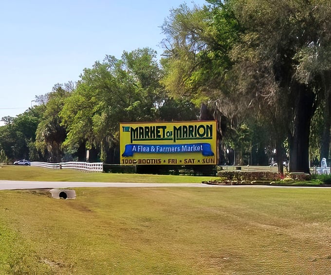 The roadside marquee beckons weekend warriors with the promise of treasures, treats, and the thrill of the hunt in Belleview's retail wilderness.