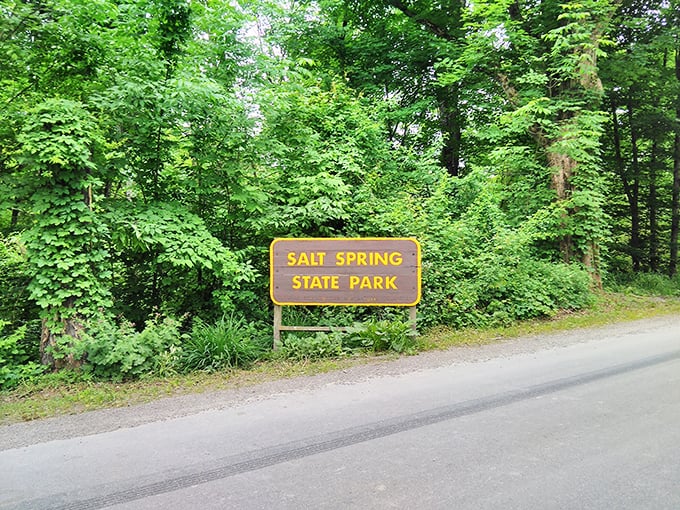 The unassuming entrance sign&mdash;Pennsylvania's equivalent of a speakeasy door, hiding natural wonders behind its modest appearance.