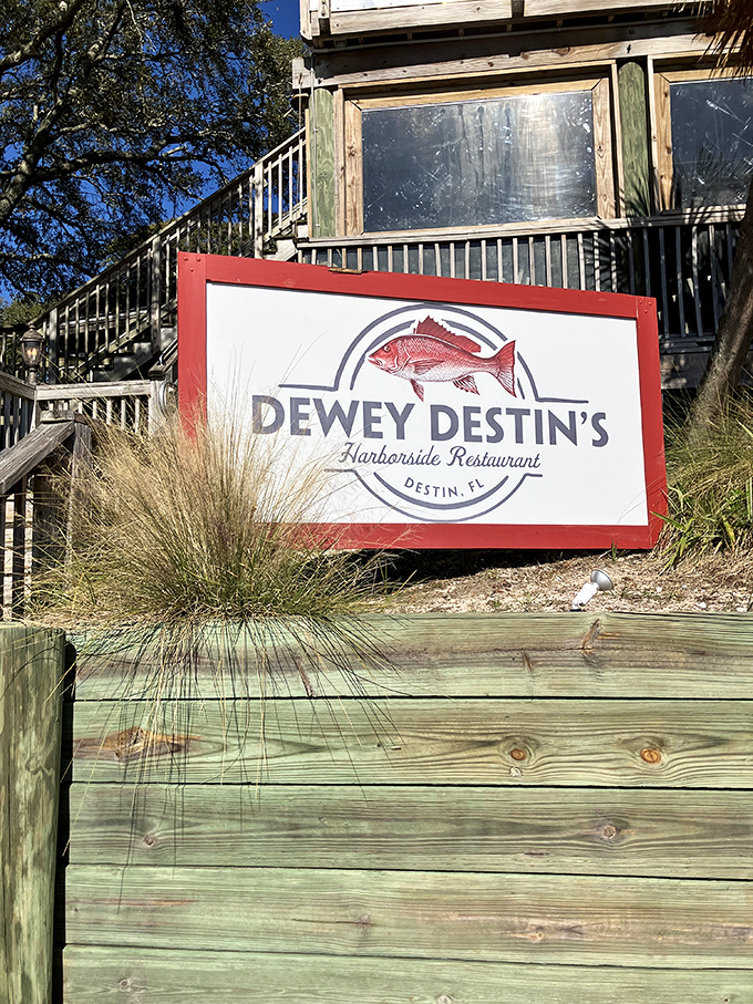 The sign says it all—you've arrived at seafood nirvana. That red snapper logo isn't just branding; it's a promise of what awaits inside.