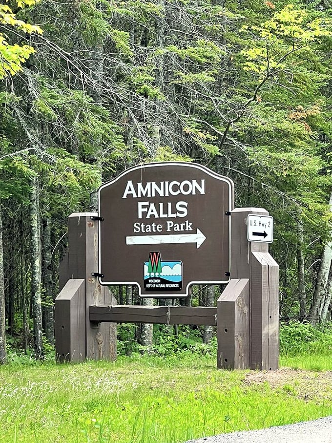 The welcoming committee: this unassuming sign marks the threshold between ordinary life and the extraordinary world waiting just beyond the trees.