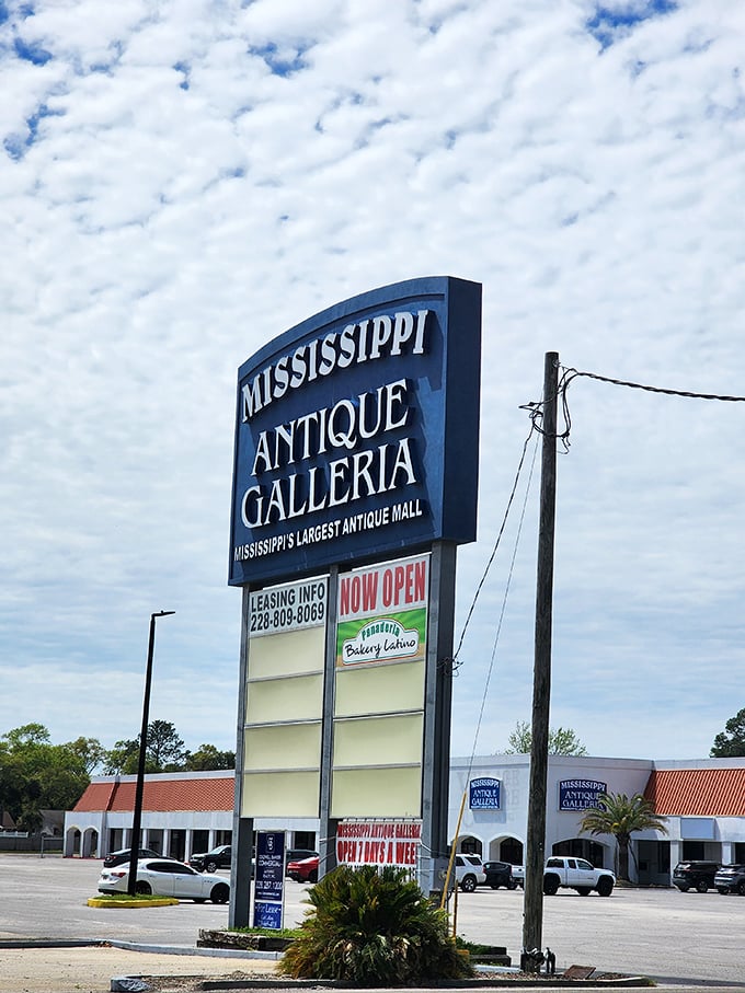 The roadside sign stands tall against Mississippi clouds, a beacon for collectors and the merely curious alike&mdash;adventure by the square foot awaits.