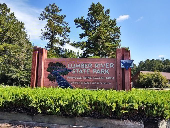 The park entrance sign stands proud like a maitre d' at a five-star restaurant, promising natural delights that exceed expectations.