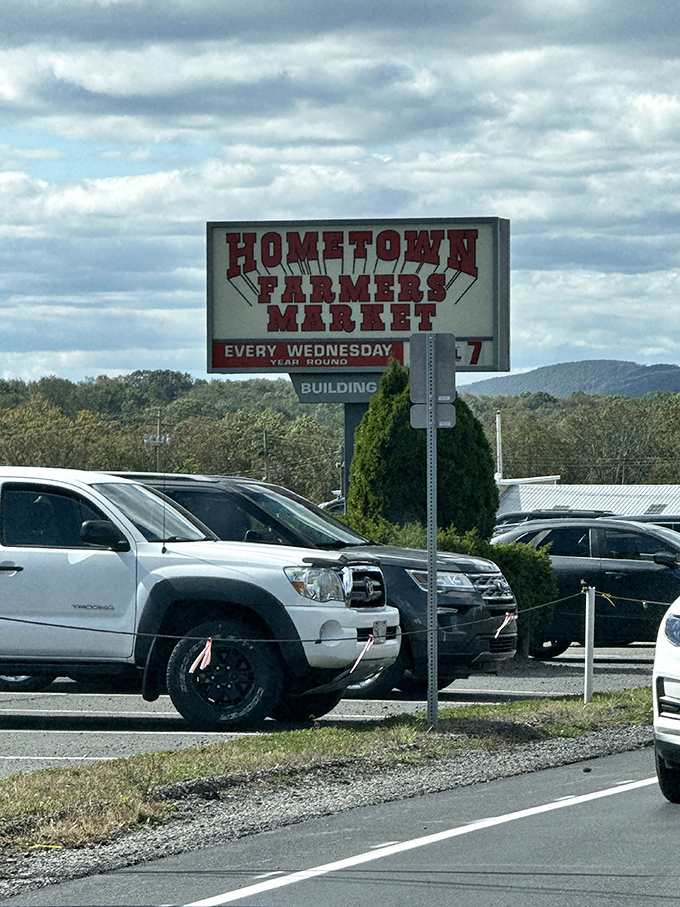 The iconic sign that beckons bargain hunters every Wednesday. Like a lighthouse for the deal-obsessed, it guides shoppers home.