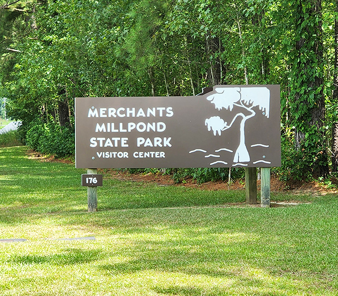 The welcoming sign that promises exactly what it delivers &ndash; a millpond experience that's been enchanting visitors since before Instagram existed.