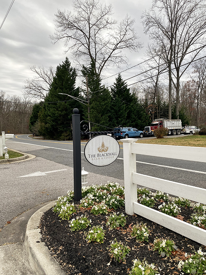 The entrance sign stands like a promise of good things to come. It's the culinary equivalent of "you have arrived" on your GPS.