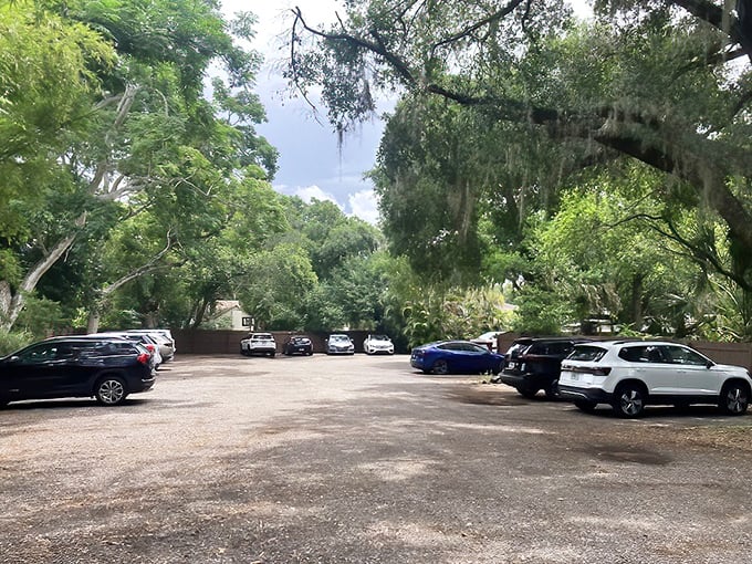 The shaded parking lot under Spanish moss feels like the opening scene of your personal food adventure movie. Roll credits after dessert.