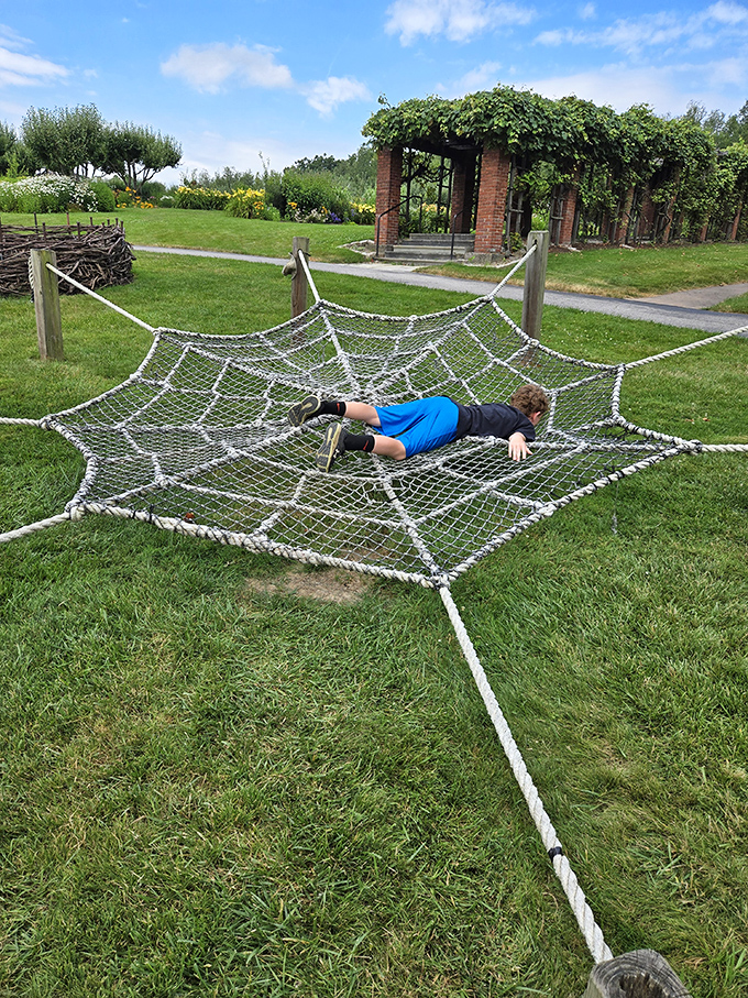 This giant spider web play structure proves that even historic estates understand the universal truth: kids need somewhere to burn off energy after being told not to touch the priceless antiques.
