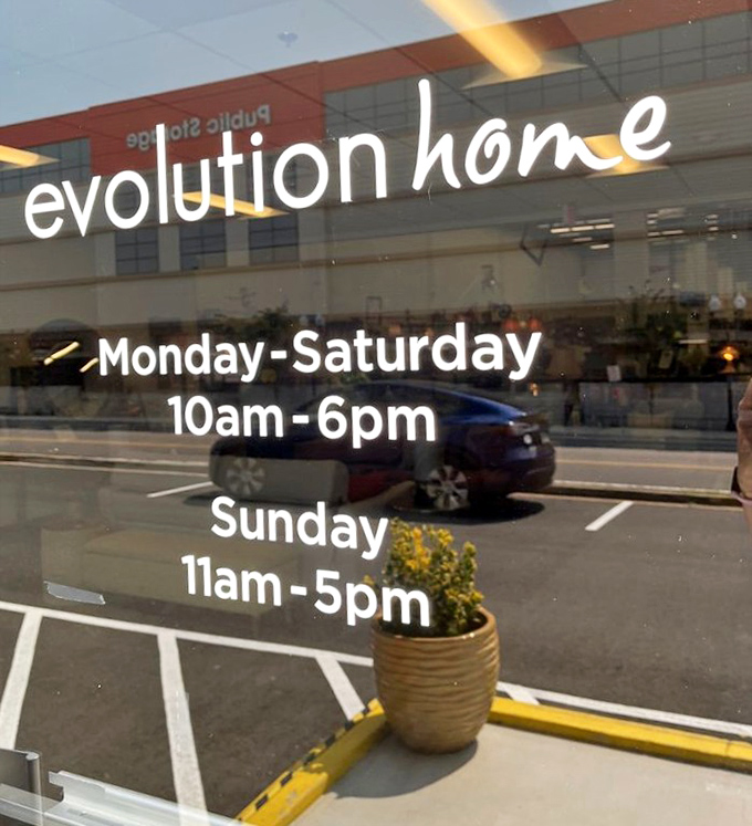 "Evolution Home welcomes treasure hunters six days a week. The hardest part isn't finding something you love &ndash; it's stopping at just one thing."