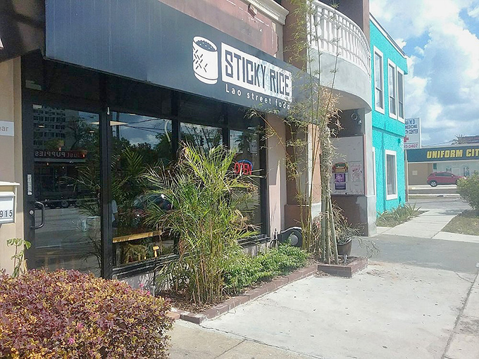 From the street, Sticky Rice blends into the neighborhood landscape, its treasures waiting to be discovered by the curious and hungry.