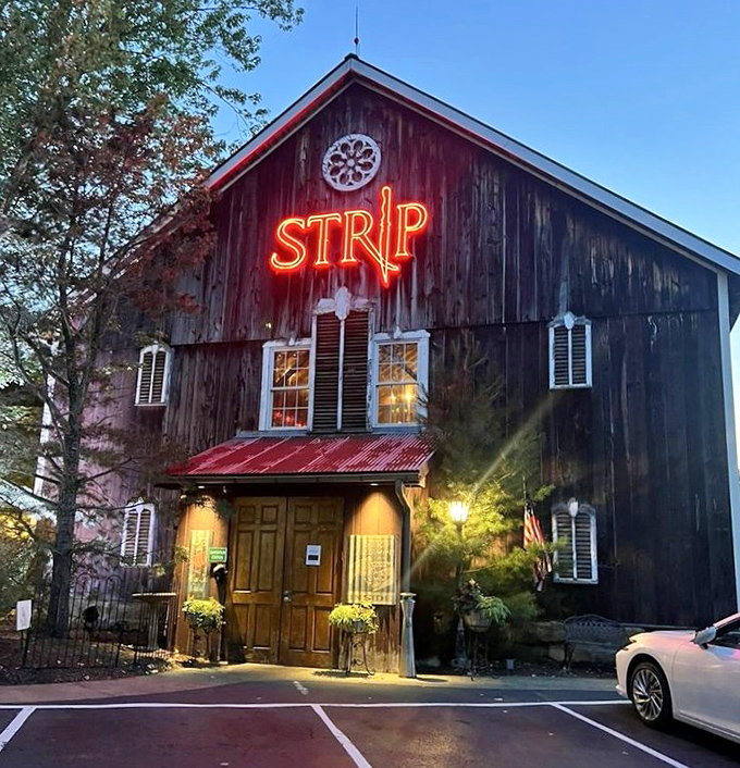 As dusk falls, the neon STRIP sign transforms from quirky to magical&mdash;beckoning hungry travelers like a carnivorous North Star.