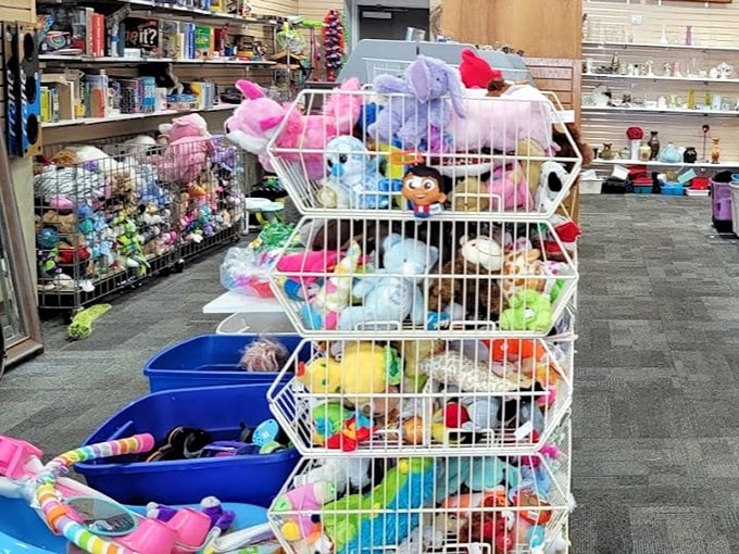 A stuffed animal avalanche waiting to happen &ndash; every childhood companion you remember is probably in there.