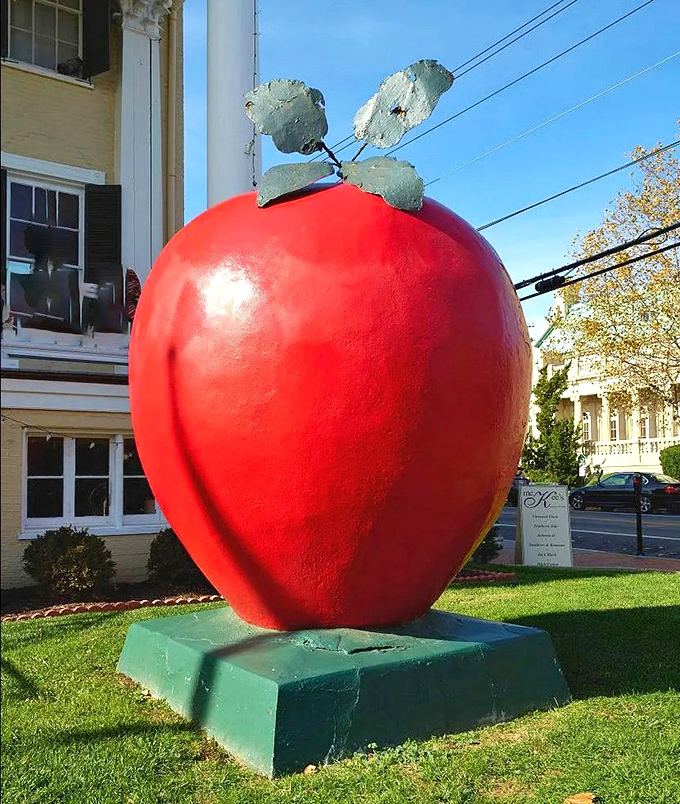 Sunlight plays across the apple's surface, highlighting its perfect shape and the detailed metalwork of its leafy top.