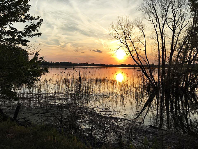 Marblehead sunsets perform a daily magic show, turning ordinary lake waters into sheets of molten gold as day surrenders to night.