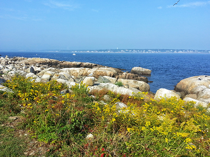 Thacher Island appears on the horizon like a maritime mirage, its lighthouse a slender finger pointing skyward as if to say "You are here."
