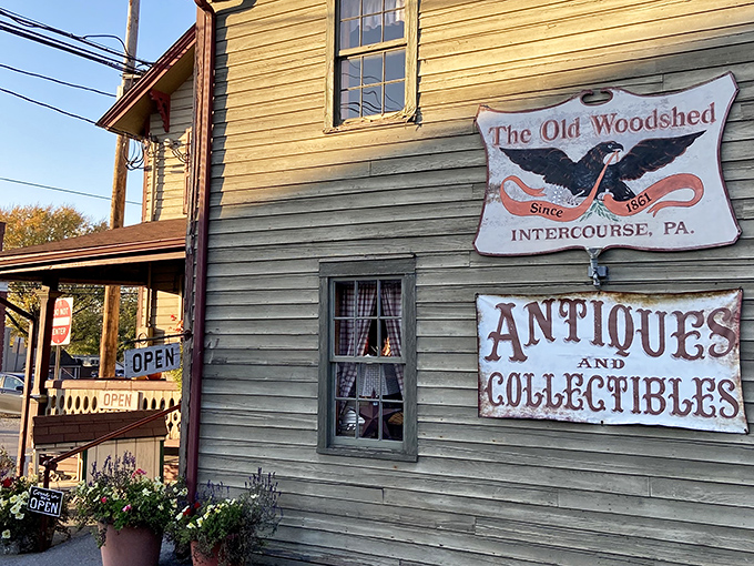 The Old Woodshed has been collecting memories since 1981. One person's antique is another's childhood memory – making browsing here a delightful trip through time.