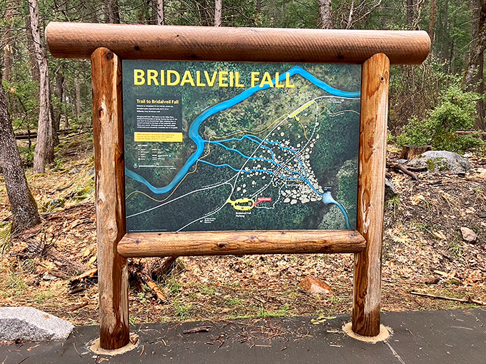 Your adventure begins here: This trail marker doesn't just show directions&mdash;it's the starting point for memories that will last far longer than your camera battery.