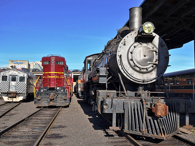 The museum's collection showcases the evolution of rail power &ndash; from steam's dramatic flourish to diesel's utilitarian muscle.