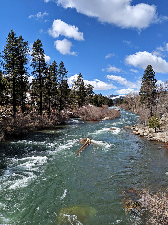 The Truckee River &ndash; nature's original thrill ride. Where adventurous souls and fallen trees navigate the snowmelt dance together.
