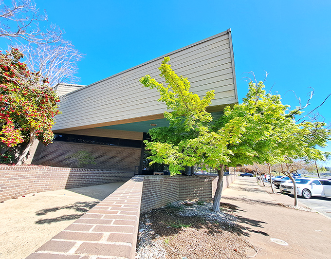 Even everyday buildings in Paradise get the benefit of leafy green surroundings. The local post office becomes something special when framed by vibrant trees.
