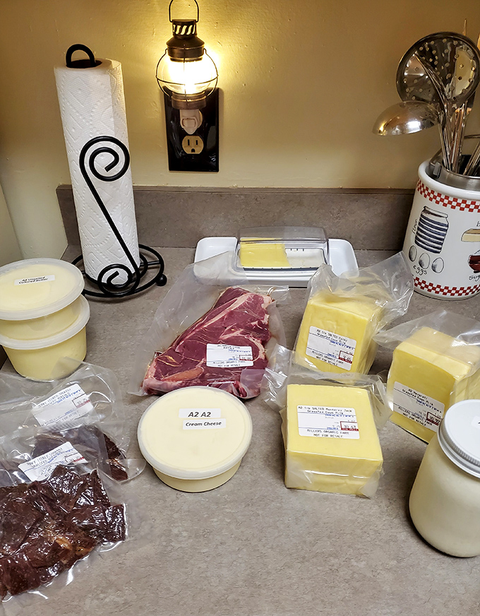 A family portrait of dairy products gathered for their close-up, each one representing the simple luxury of knowing exactly where your food originated.