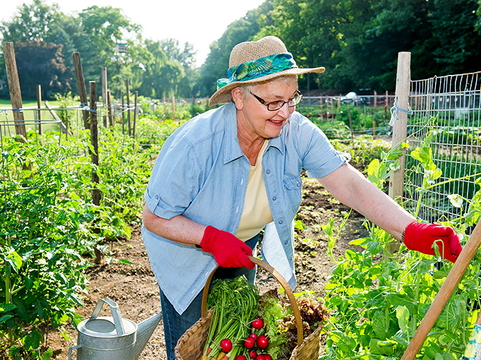 Garden-to-table isn't just a restaurant trend when you've got your own plot and decades of growing wisdom to harvest alongside the vegetables.