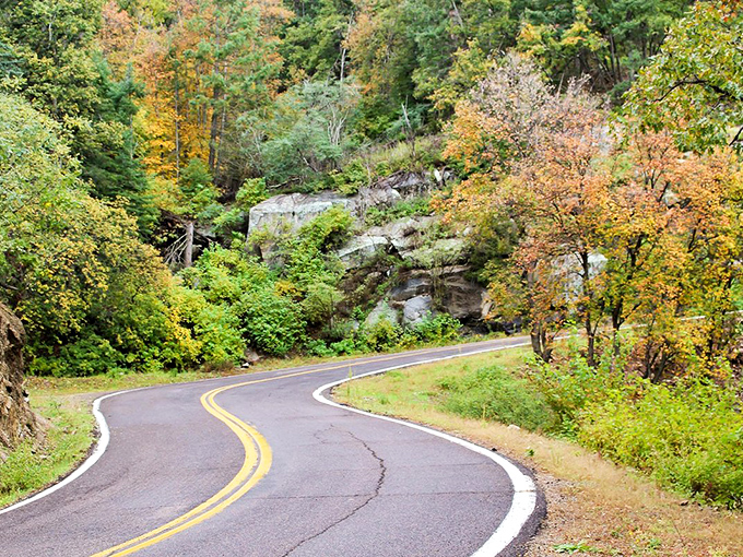 Mount Graham's winding roads could give Italy's Amalfi Coast a run for its money—minus the tourists and plus some spectacular fall foliage.