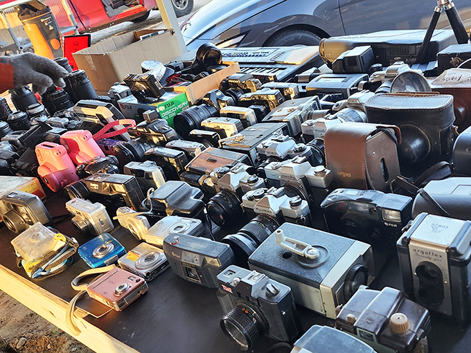 Yesterday's technology, today's collectibles. This jumble of vintage cameras represents the evolution of photography&mdash;from film to digital&mdash;all available for the right price.