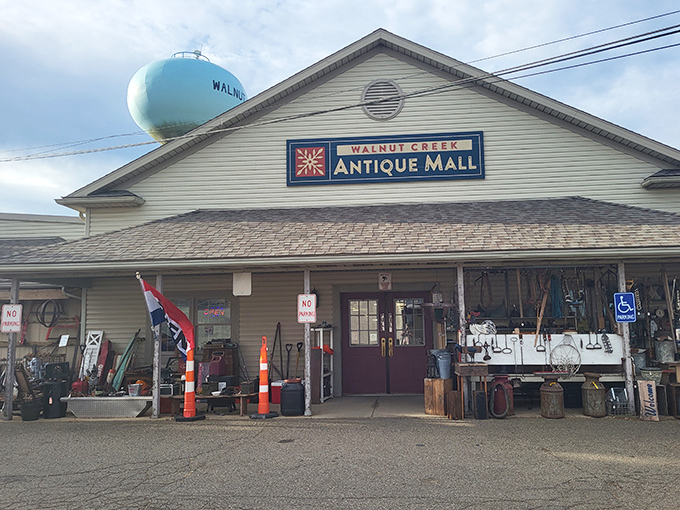 One person's attic treasures become another's vintage finds. The Antique Mall houses memories and mysteries waiting to be discovered.