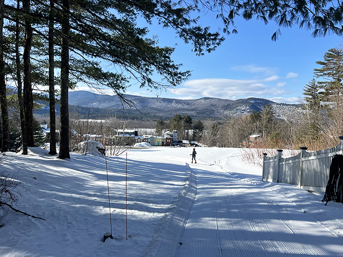 Winter trails through Conway's forests offer solitude so perfect you can actually hear snowflakes discussing their landing strategy.