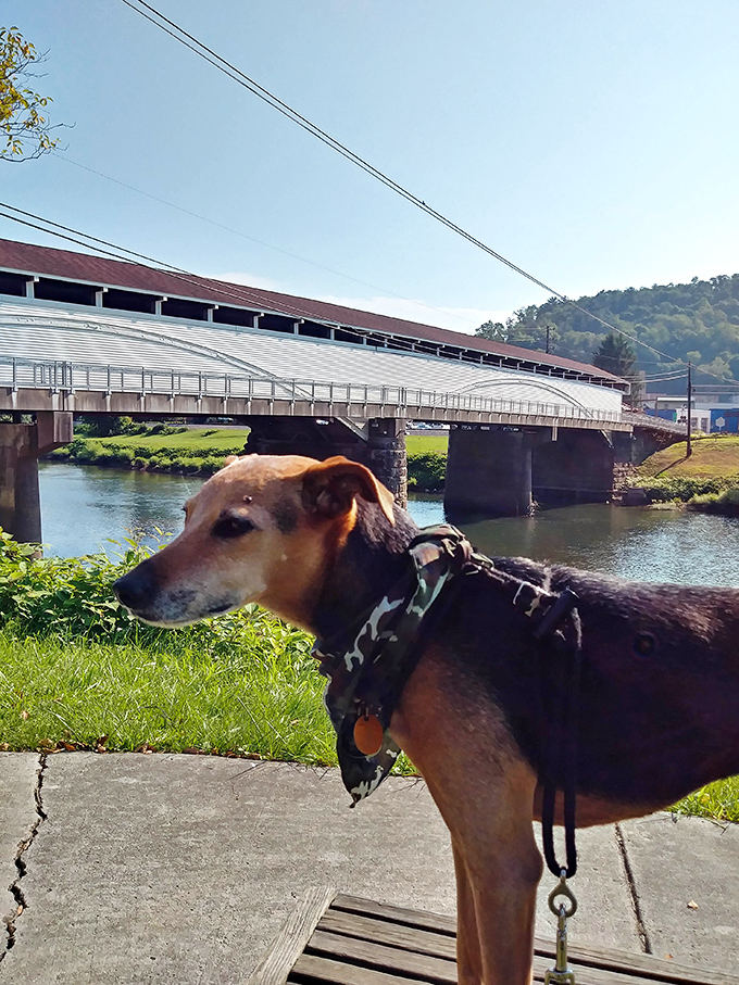 Even four-legged visitors appreciate the historic significance &ndash; or perhaps just the scenic views &ndash; that make the Philippi Covered Bridge a must-visit destination.