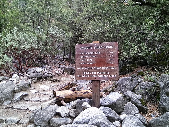 The wooden sign says "Yosemite Falls Trail," but what it really means is "This Way to Memories You'll Bore Your Grandkids With."