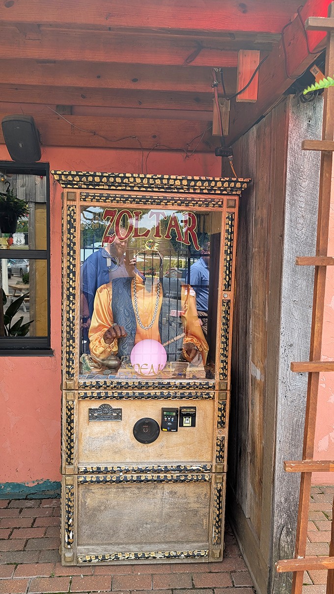 Zoltar knows all! This fortune-telling machine has seen things in Uranus that would make even the most seasoned traveler blush.