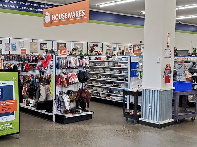 Department store organization meets treasure hunt excitement. The clearly marked sections make finding what you need easy, while still allowing for serendipitous discoveries.