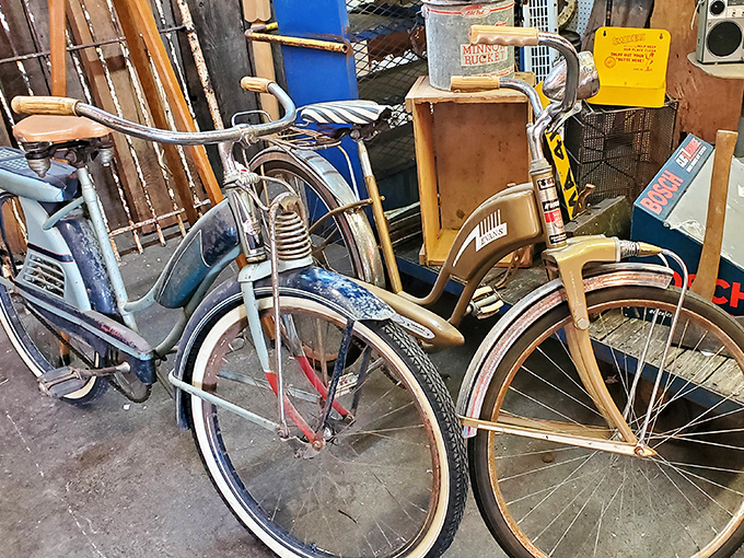 Bicycles that once carried paperboys, first dates, and summer adventures, their slightly worn seats holding decades of stories.