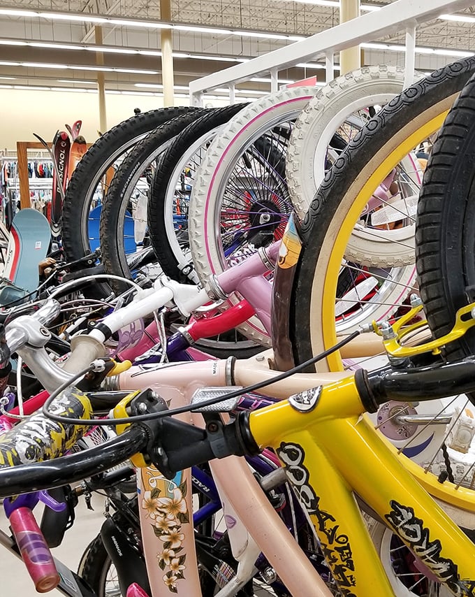 A colorful fleet of pre-loved bicycles stands ready for new adventures. From pink princess models to rugged mountain bikes, wheels for everyone.