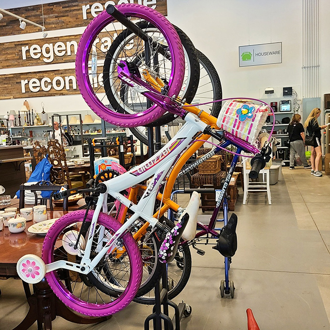 Bicycles in vibrant colors stand ready for new adventures. That purple and orange beauty isn't just transportation&mdash;it's childhood joy recycled for the next generation.