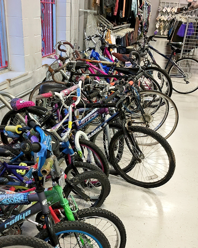 Bicycle brigade ready for new adventures! From training wheels to ten-speeds, these rides are ready to hit the neighborhood streets again.