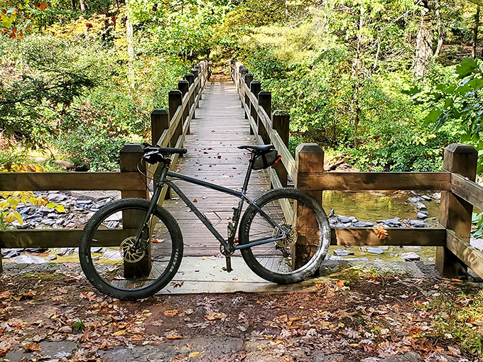 A mountain bike rests on a wooden bridge, pausing between adventures. Two wheels and endless trails&mdash;Pennsylvania's version of freedom.