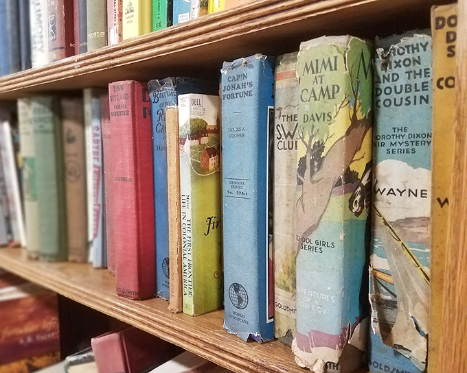 A rainbow of vintage book spines tells stories before you even crack them open&mdash;literary treasures waiting for their next chapter in your home.