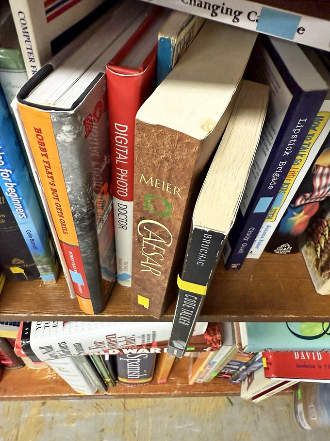 Books stacked like literary Jenga, spines revealing forgotten bestsellers and timeless classics. Digital readers can't replicate the joy of discovering a $2 hardcover treasure.