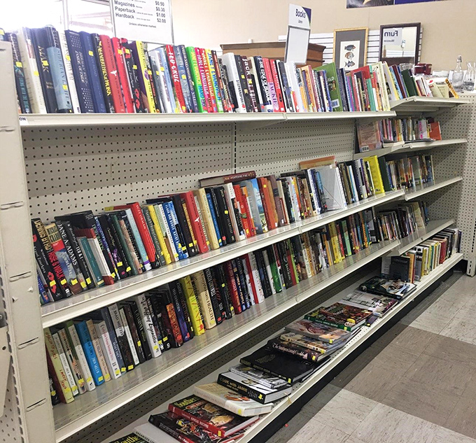 Bookworms rejoice! Literary treasures line these shelves like an all-you-can-read buffet where every genre gets a seat at the table.