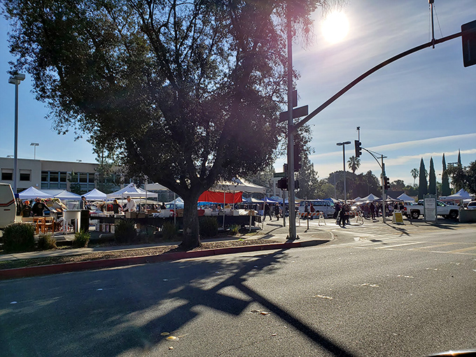 Morning light casts long shadows as early birds begin their treasure hunt, proving that in the flea market world, the dawn shopper catches the vintage bargain.