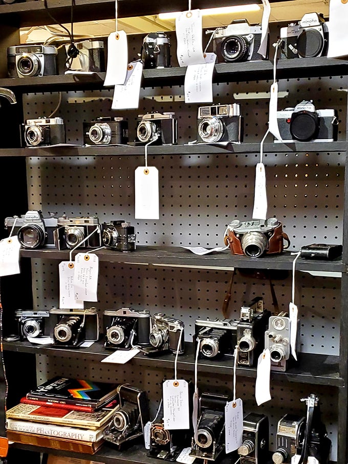 A photographer's dream&mdash;vintage cameras that captured weddings, birthdays, and everyday moments long before "selfie" entered our vocabulary.