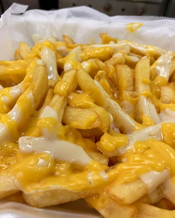 Cheese fries that don't pretend to be anything but what they are: a glorious, melty indulgence that makes you temporarily forget about concepts like "moderation."