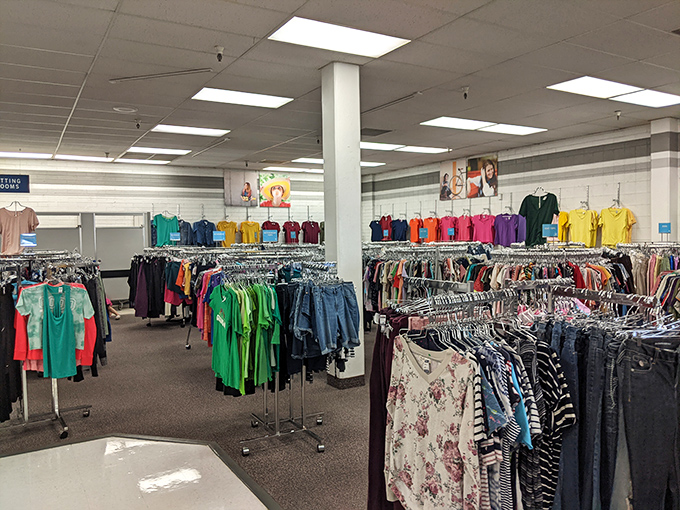 Clothing racks stretching toward infinity, organized by color like a retail rainbow that respects your budget completely.