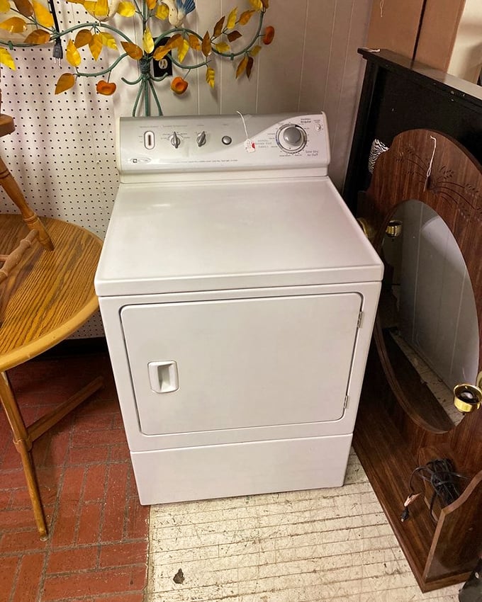 Not just any appliance &ndash; this vintage dryer represents the practical side of Peter's Park, where everyday necessities meet nostalgic design in perfect harmony.
