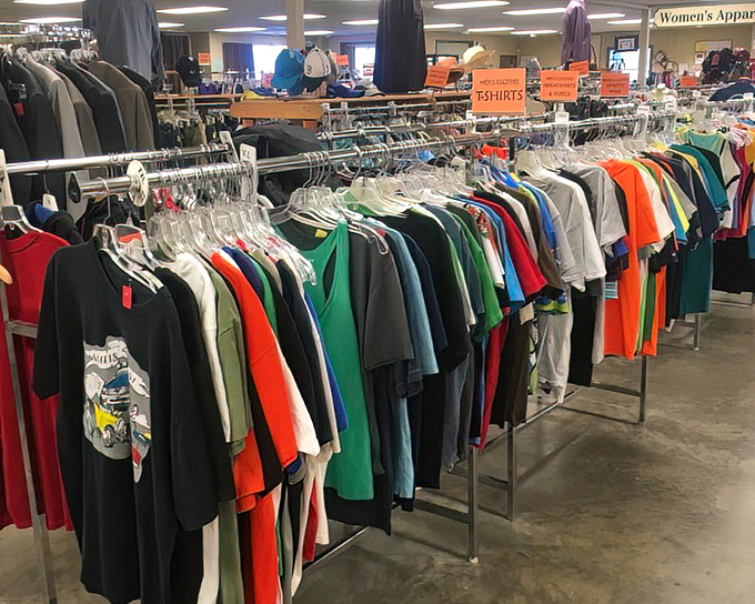 The rainbow of possibilities hanging neatly by size and color. T-shirt shopping becomes a joyful expedition rather than a wallet-emptying experience.